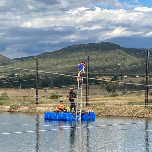 Join Our Team - Crop Shade