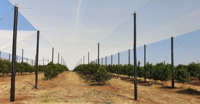 Contact Us - Crop Shade