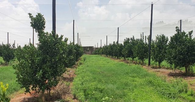 Contact Us - Crop Shade